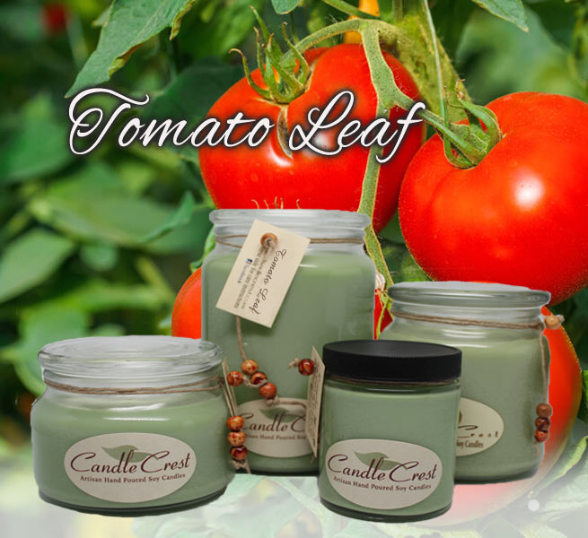 Tomato Leaf Candles | Candle Crest Soy Candles Inc