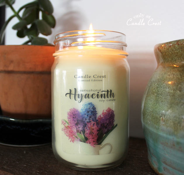 Sensational Hyacinth Candle | Candle Crest Soy Candles Inc